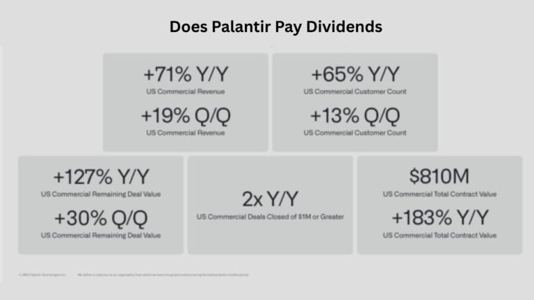 Does Palantir Pay Dividends? Insights into Its Financial Strategy